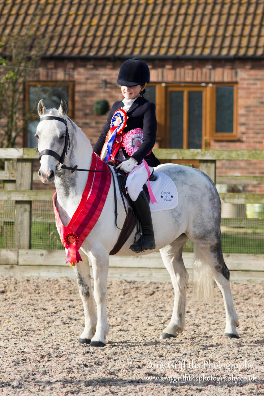 Mill Lane Stables 2017 Dressage Championships