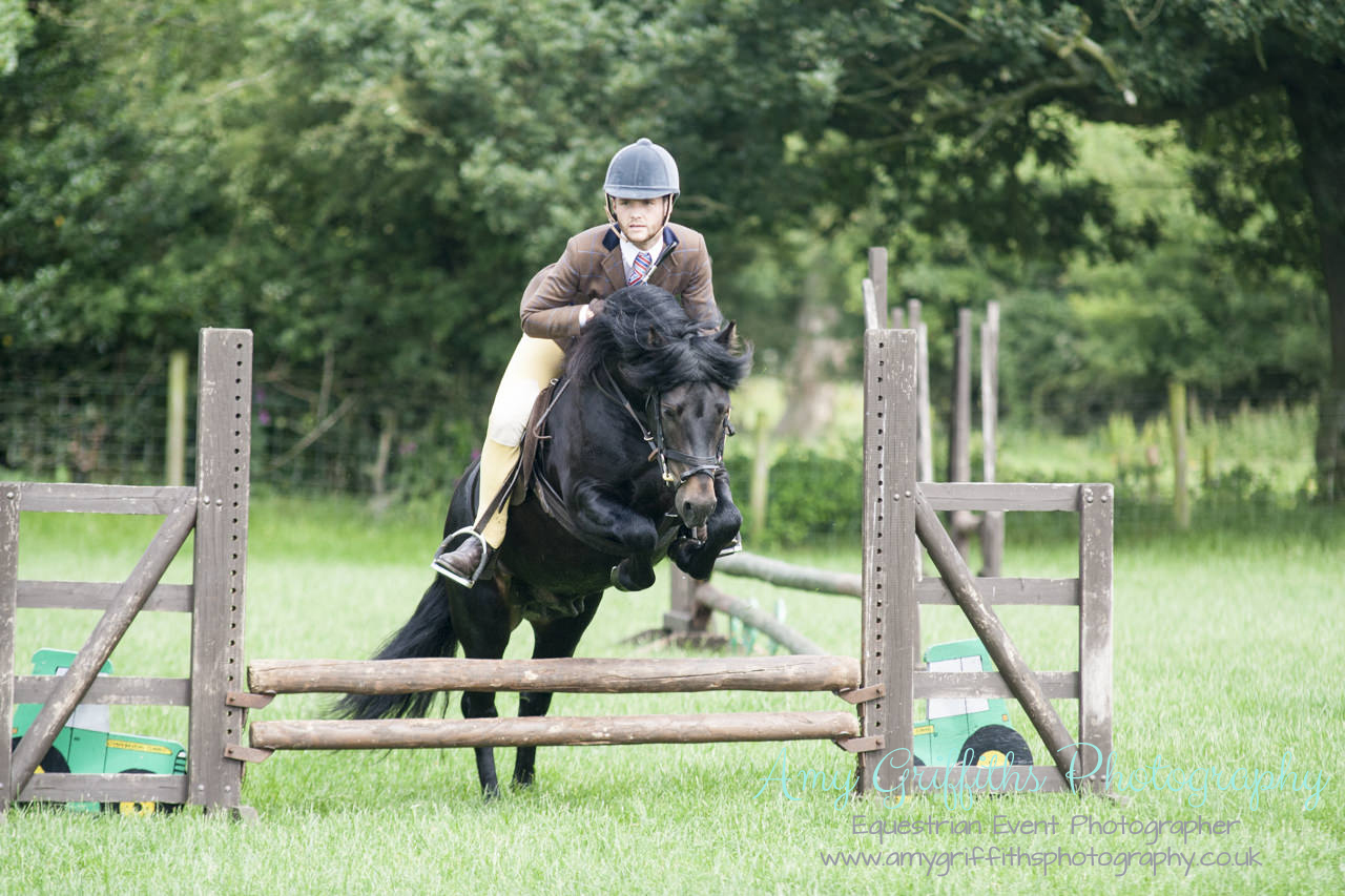 The Northern Dartmoor Pony Show